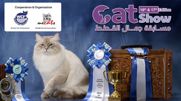 Alfa Camp In Riyadh - Platinumlist.net